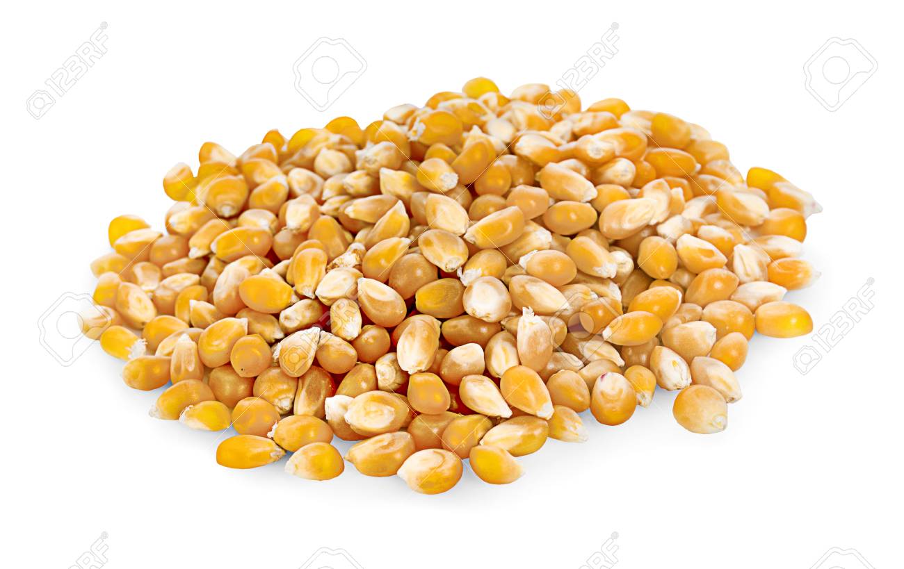 Corn grains background stock photos – United Broiler Raisers Association